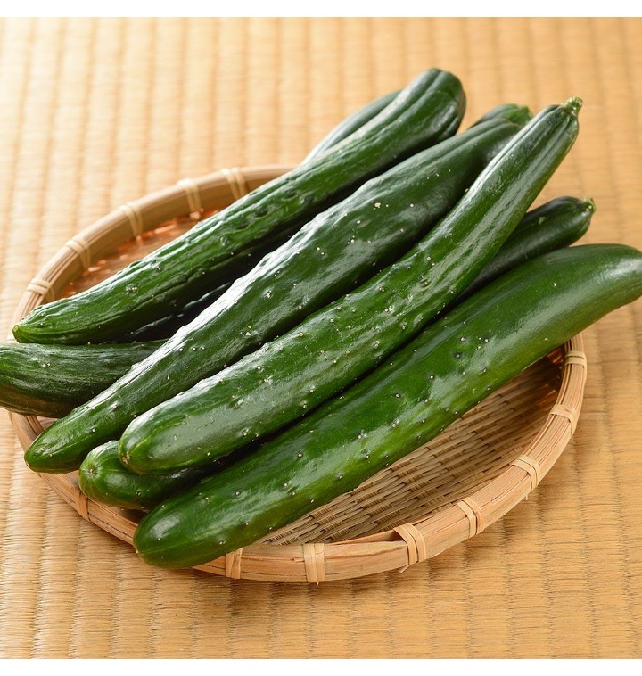 오이지오이 국내산 취청오이 백오이 가시오이 특상품 2kg 3kg 4kg 5kg 10kg 티몬